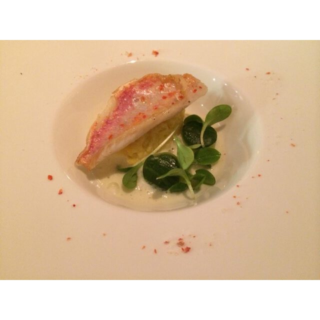 Plat bord Grand Amuse Trendy ( per stuk ) - Riwojo